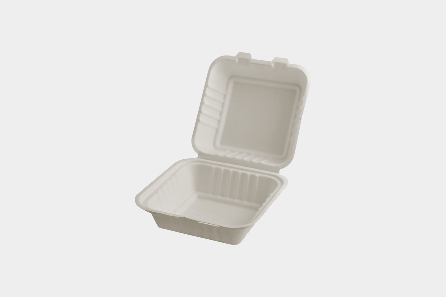 Eco-Friendly 6" Bagasse Food Containers in Bulk