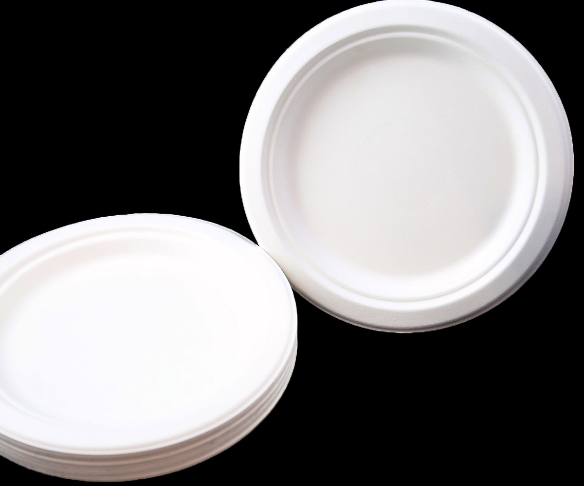 9" Bio-Based Plates | Hotel | AGH - Hospitality Supplies