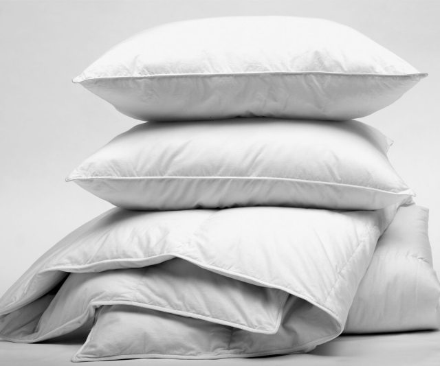 Standard Pillows in Bulk | Best Hotel Pillows | AGH - Hospitality Supplies
